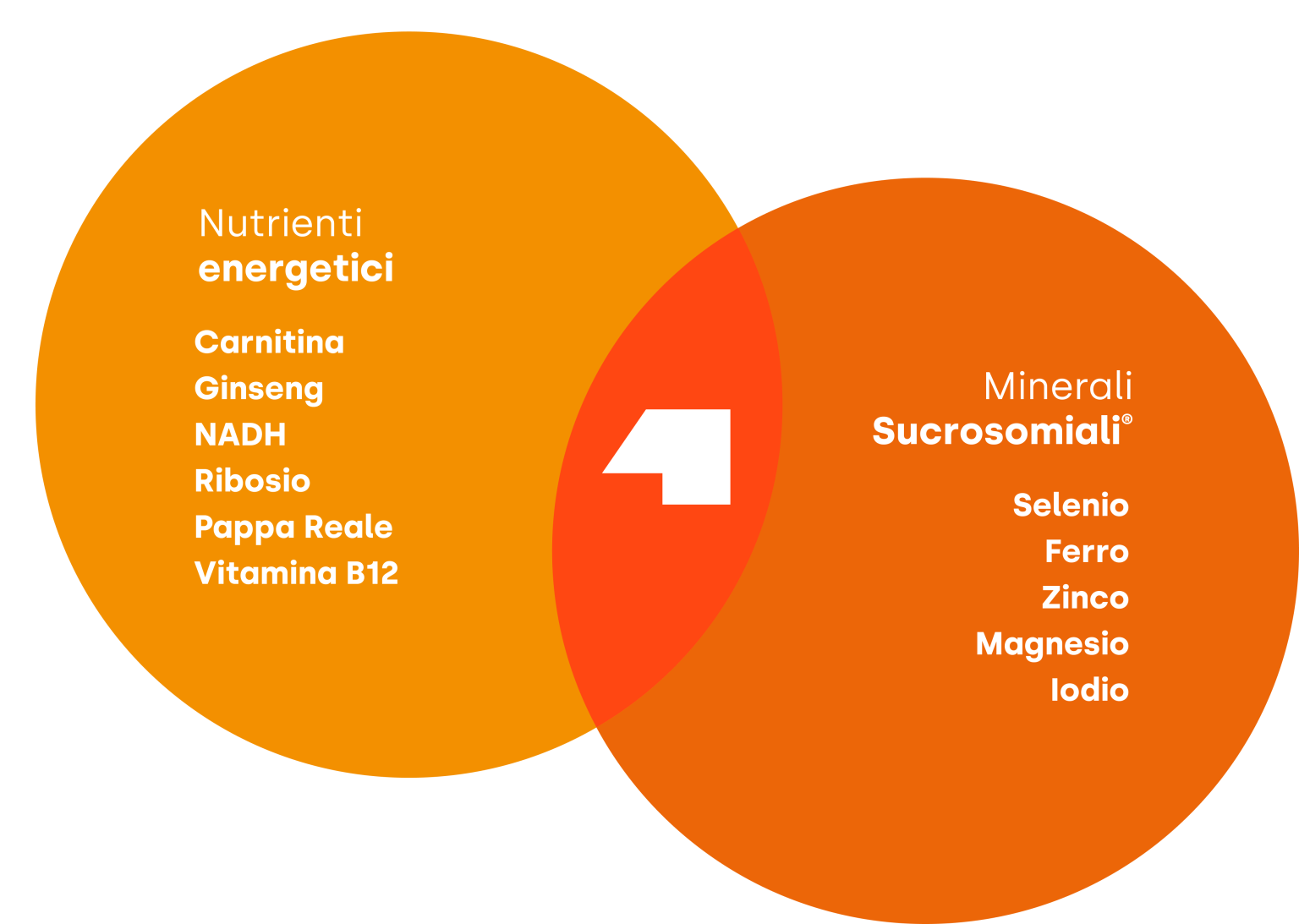 Apportal® Boost - Apportal