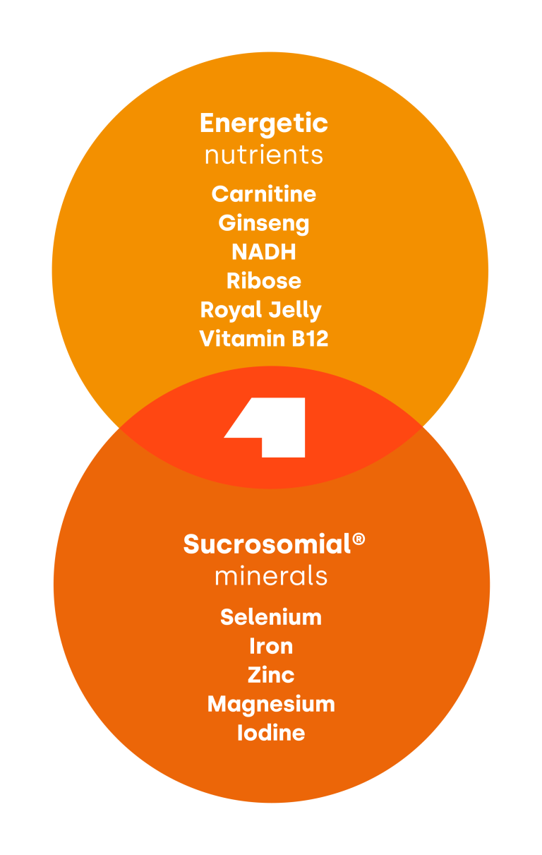 Apportal® Boost - Apportal